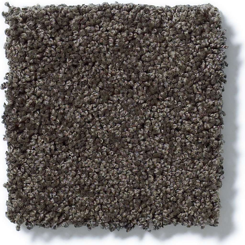 Shaw Soft Shades My Choice II 00755 Vintage Leather Nylon Carpet ...