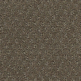 Aladdin Commercial Influencer Classic Update 879 Warm Ashes Carpet ...