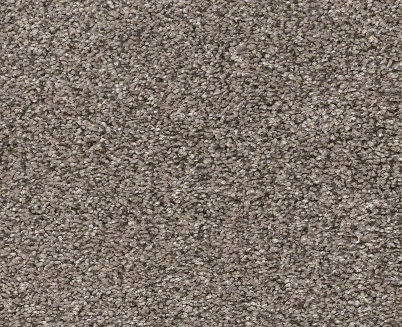 Shaw Pet Perfect Yes You Can II 15' 00116 Warm Light Polyester Carpet ...