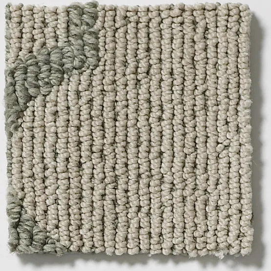 Anderson Tuftex Taza II 00113 Weathered Tan Loop Nylon Carpet — Stone ...