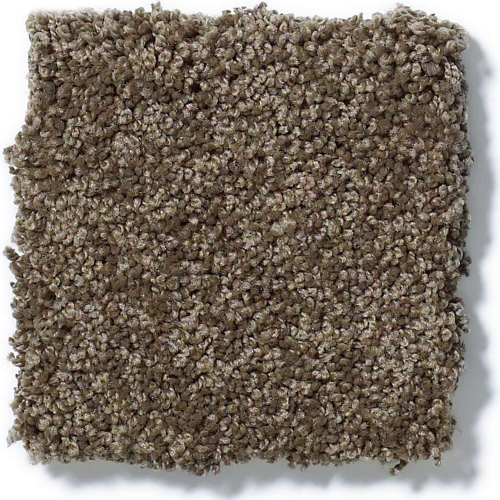 Shaw Soft Shades My Choice II 00759 Weathered Wood Nylon Carpet — Stone ...