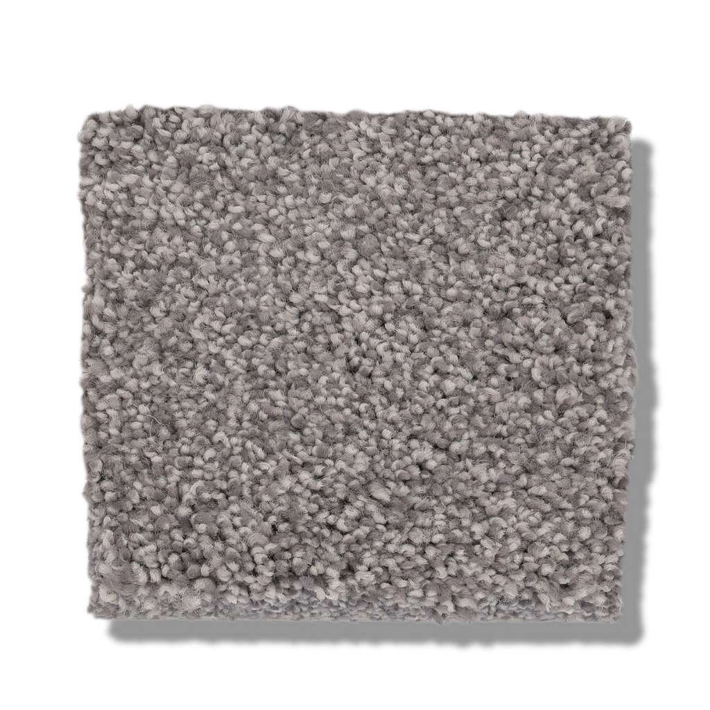 Shaw Caress By Shaw Cozy Harbor I 00520 Well Traveled Nylon Carpet ...