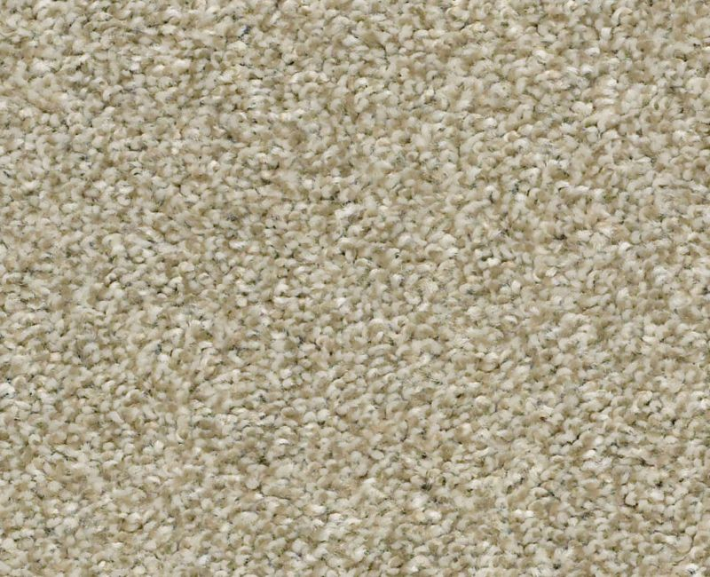 Shaw Marina II 00142 Wheat Field Textured Polyester Carpet — Stone ...