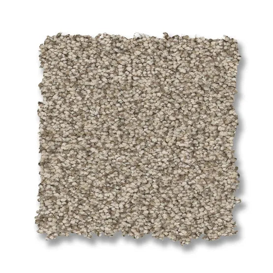 Anderson Tuftex Somerset 00151 White Mocha Textured Nylon Carpet ...