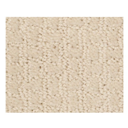 Shaw Stimulate The Senses 00100 Winter White Pattern Nylon Carpet ...