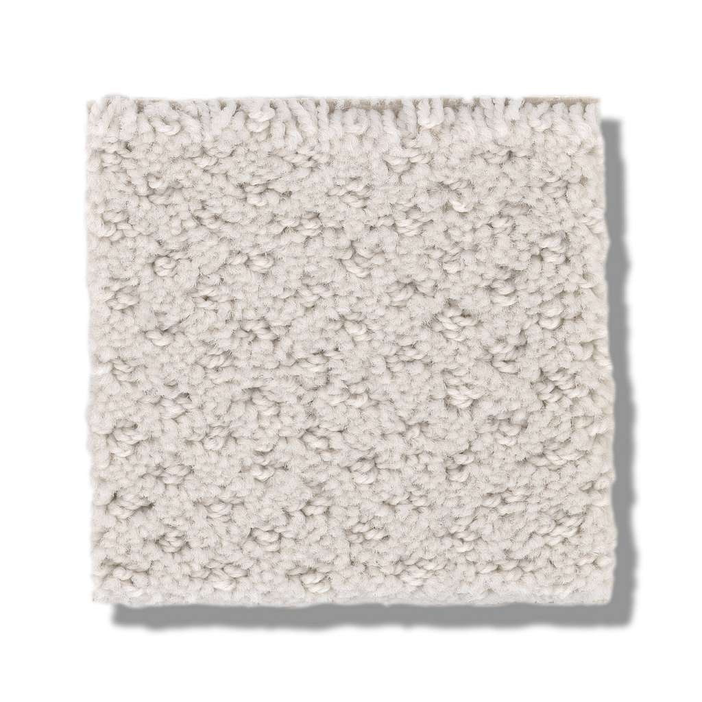 Shaw Foundations Mainstay 00102 Winters Dawn Pattern Nylon Carpet ...