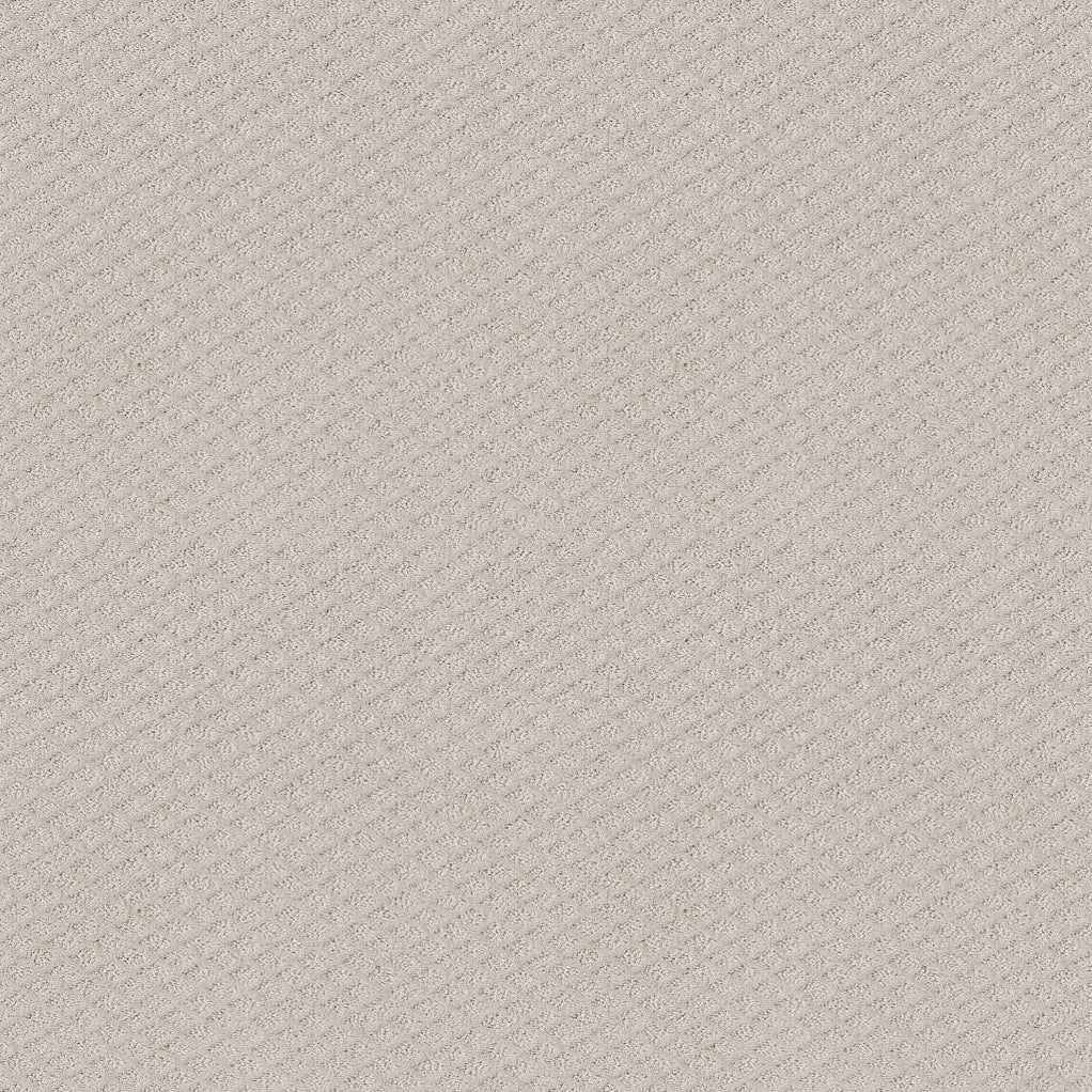 Shaw Formalize 00102 Winters Dawn Pattern Nylon Carpet | Lowest Price ...