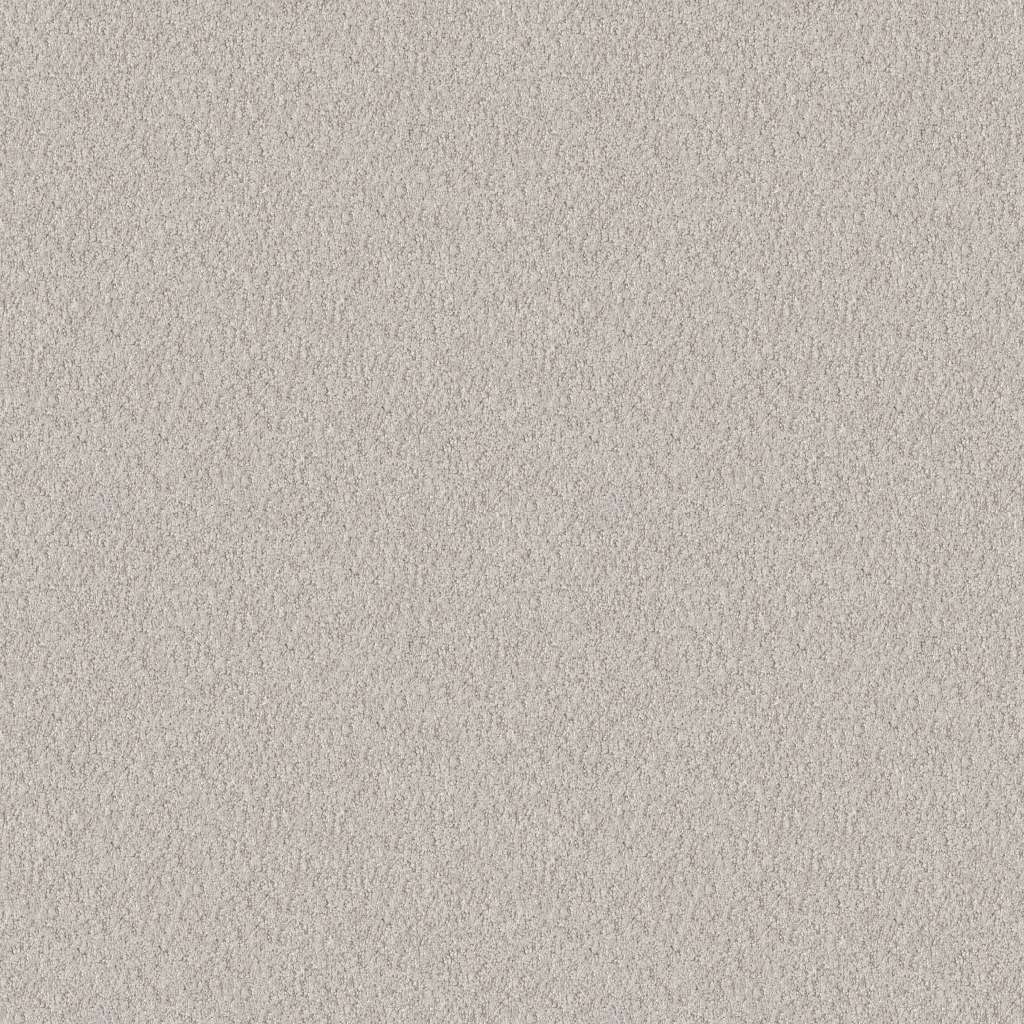 Shaw Foundations Alluring Canvas 00102 Winters Dawn Nylon Carpet ...