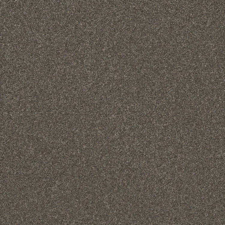 Phenix Microban Ethereal 912 Wonderful Textured Polyester Carpet ...