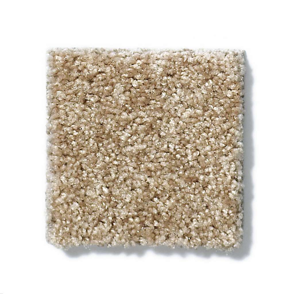 Shaw Victory 00731 Wooden Crate Textured Nylon Carpet | Lowest Price ...