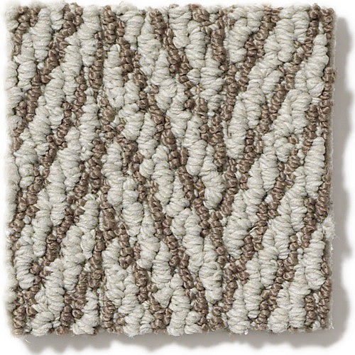 Anderson Tuftex Echo Beach II 00755 Worn Bronze Nylon Carpet — Stone ...
