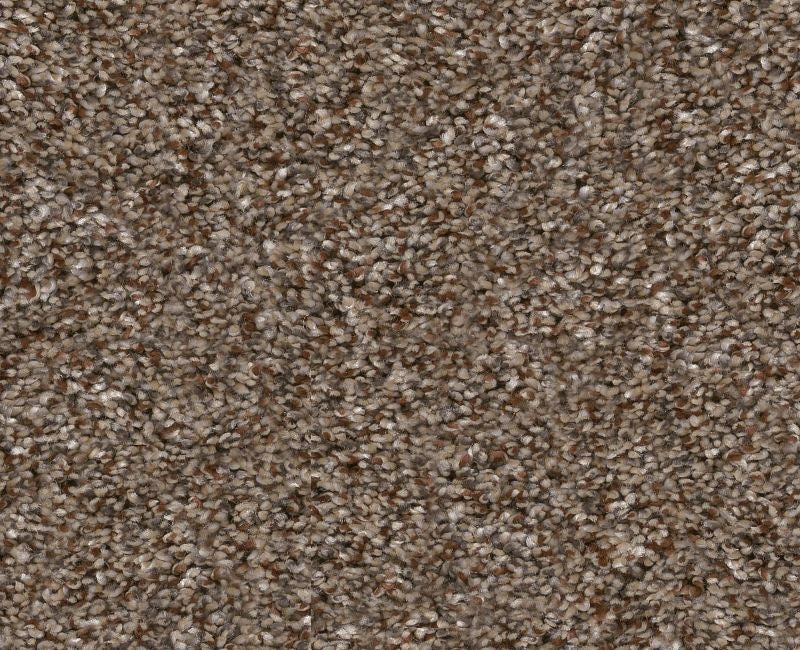 Shaw Pet Perfect Yes You Can II 15' 00700 Worn Path Polyester Carpet ...