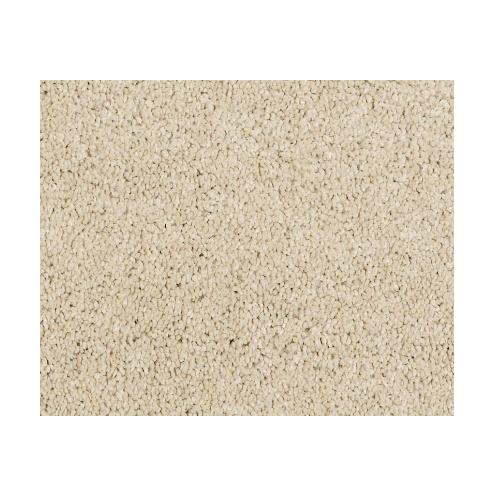 Shaw Castle PV I 00107 Yearling Textured Nylon Carpet | Lowest Price ...