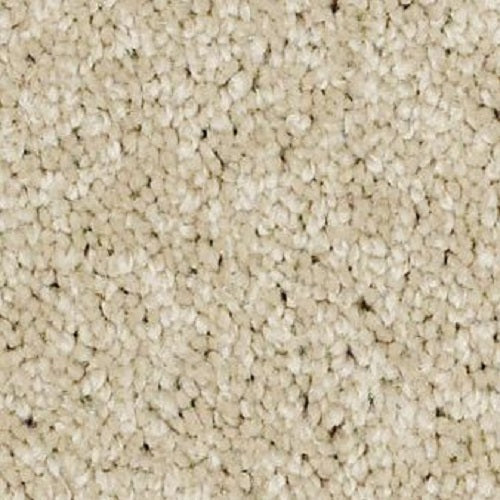 Anderson Tuftex Izzy 00104 Biscuit Textured Nylon Carpet — Stone & Tile ...