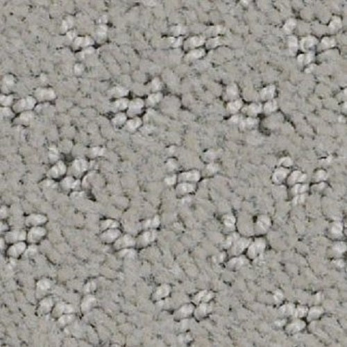 Anderson Tuftex My Rules 00511 Ash Mist Pattern Nylon Carpet — Stone ...