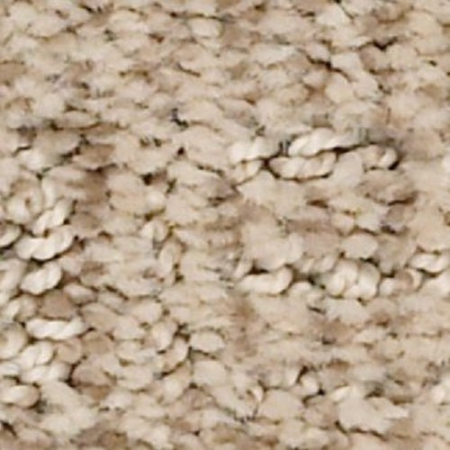 Anderson Tuftex Loredo 00763 Twilight Gold Pattern Nylon Carpet — Stone ...