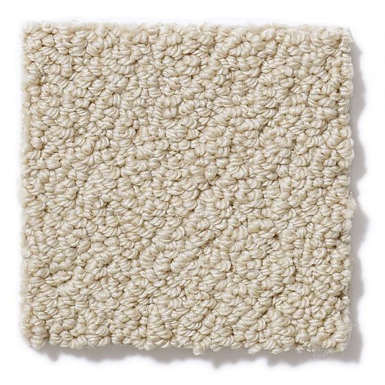Anderson Tuftex Pet Perfect On Point 00212 Sandpiper Loop Nylon Carpet ...