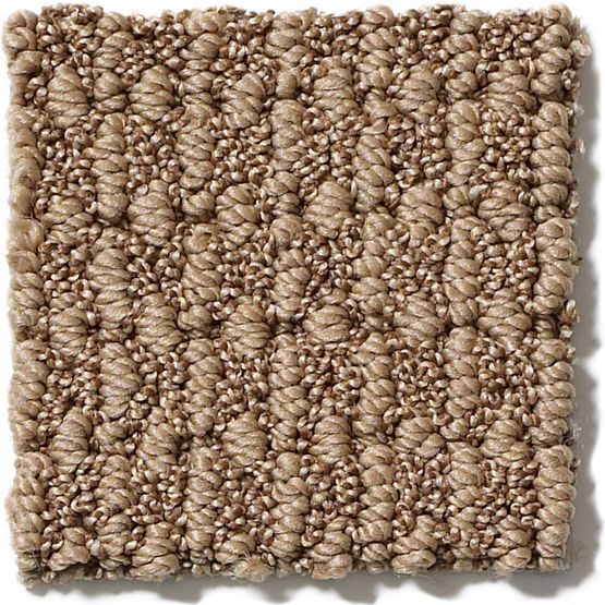 Anderson Tuftex Moondance 00275 Egyptian Sand Loop Nylon Carpet — Stone ...