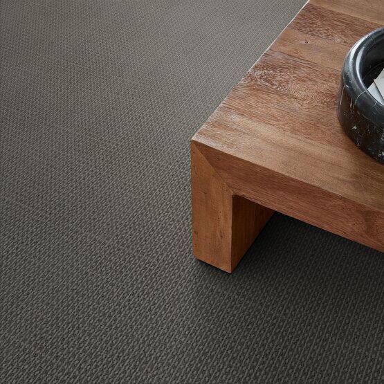 Anderson Tuftex Moondance 00555 City Scape Loop Nylon Carpet — Stone ...
