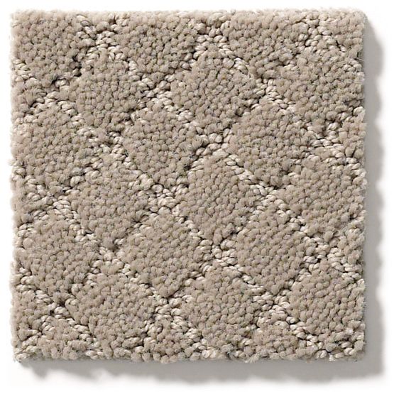 Anderson Tuftex Pet Perfect Pawnache 00711 Mocha Cream Nylon Carpet ...