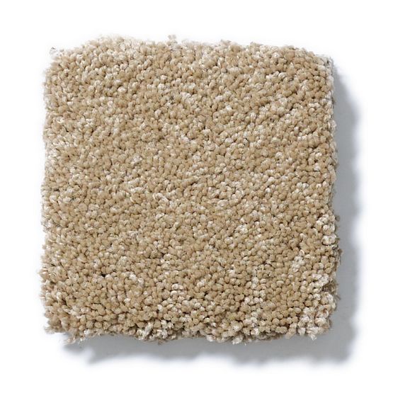Anderson Tuftex Pet Perfect Pawparazzi II 00186 Peanut Shell Carpet ...