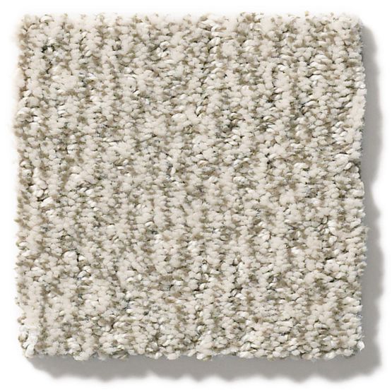 Anderson Tuftex Pet Perfect Fur Ever 00173 Birch Nylon Carpet — Stone ...