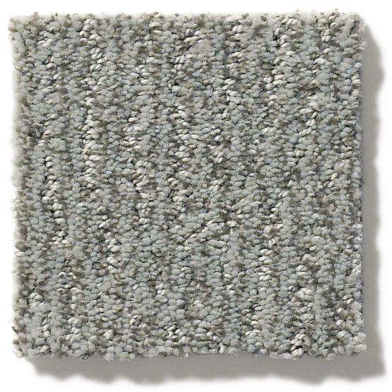 Anderson Tuftex Pet Perfect Fur Ever 00342 Avon Pattern Nylon Carpet ...
