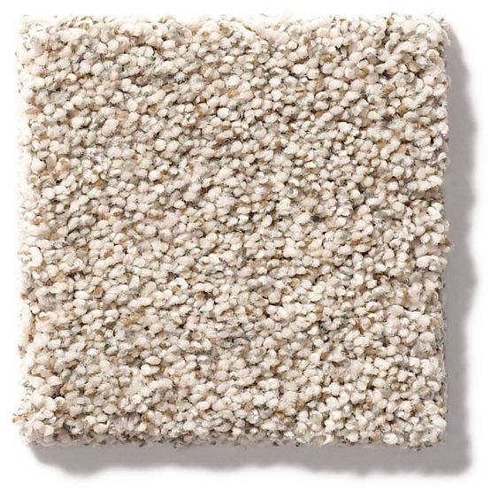 Anderson Tuftex Monarch 0252B Taos Textured Nylon Carpet — Stone & Tile ...