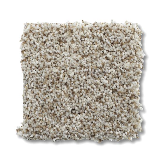 Anderson Tuftex Maker Park Hill 0121B Featherstone Nylon Carpet — Stone ...