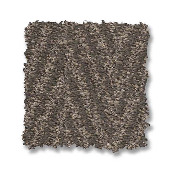 Anderson Tuftex Reawaken Kit 00578 Shade Pattern Nylon Carpet — Stone ...