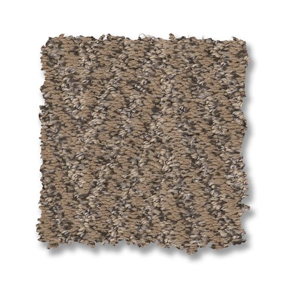Anderson Tuftex Reawaken Kit 00673 Camelback Pattern Nylon Carpet ...
