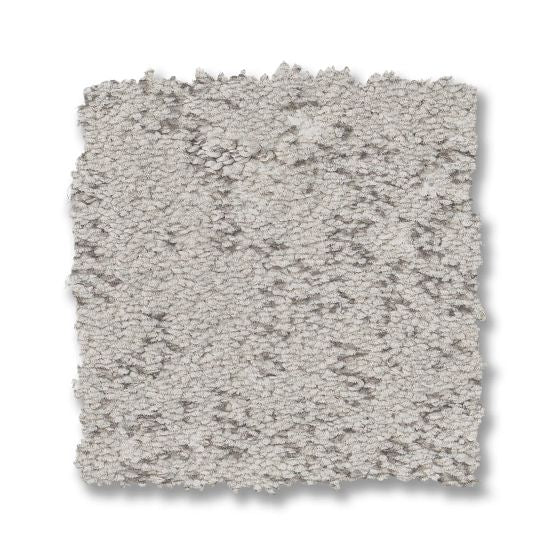 Anderson Tuftex Fancy That 00551 Gray Owl Pattern Polyester Carpet ...