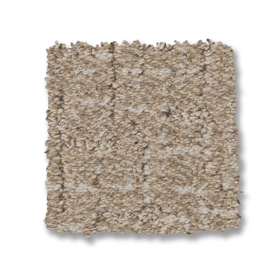 Anderson Tuftex Knickknack 00211 Pale Almond Pattern Polyester Carpet ...