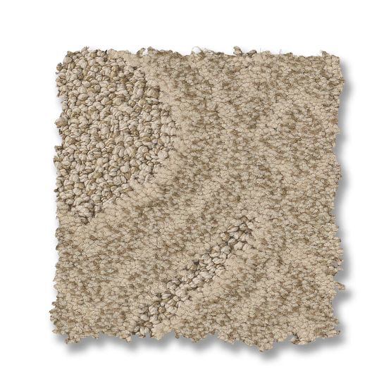 Anderson Tuftex Expressive 00132 Casual Pattern Nylon Carpet — Stone ...