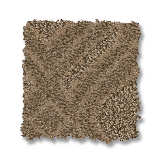 Anderson Tuftex Expressive 00275 Open Canyon Pattern Nylon Carpet ...