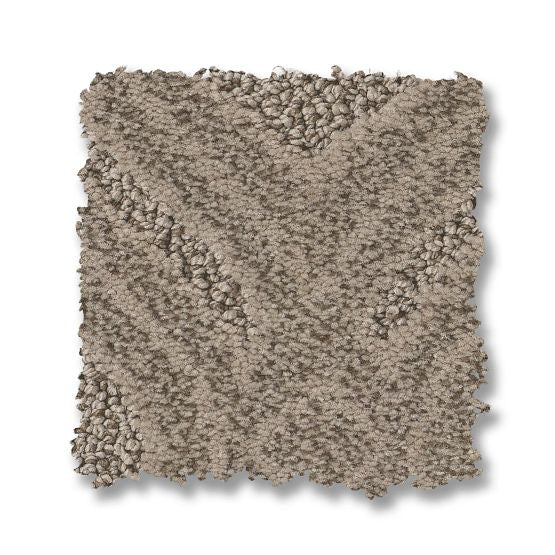 Anderson Tuftex Expressive 00573 Toasty Gray Pattern Nylon Carpet ...