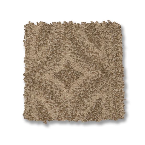 Anderson Tuftex Enlightened 00115 Windswept Pattern Nylon Carpet ...