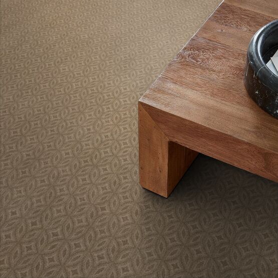 Anderson Tuftex Enlightened 00115 Windswept Pattern Nylon Carpet ...
