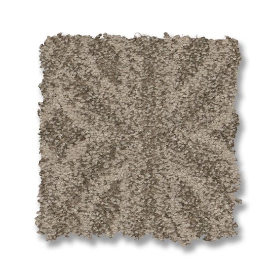 Anderson Tuftex Enlightened 00573 Toasty Gray Pattern Nylon Carpet ...