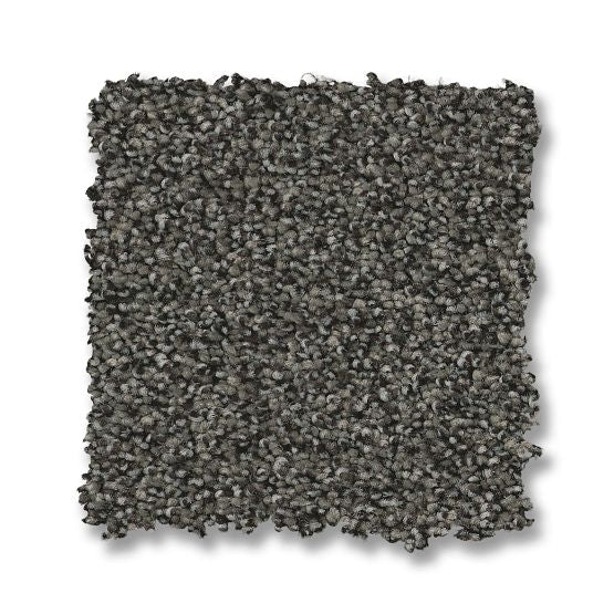 Anderson Tuftex Fabulous 00548 Rock Bottom Textured Nylon Carpet ...