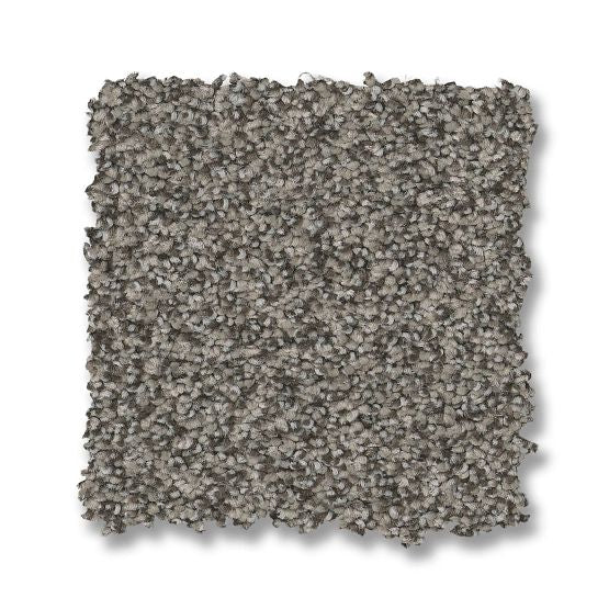 Anderson Tuftex Fabulous 00554 Flannel Gray Textured Nylon Carpet ...