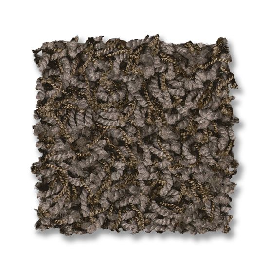 Anderson Tuftex Hello Beautiful 00578 Ermine Textured Nylon Carpet ...