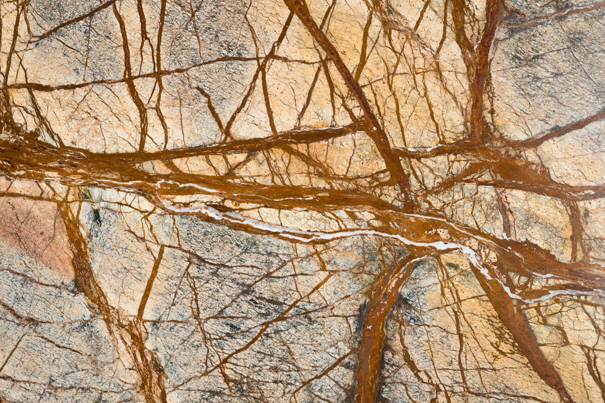 Cafe Forest Marble Tile - Polished | Stone & Tile Shoppe