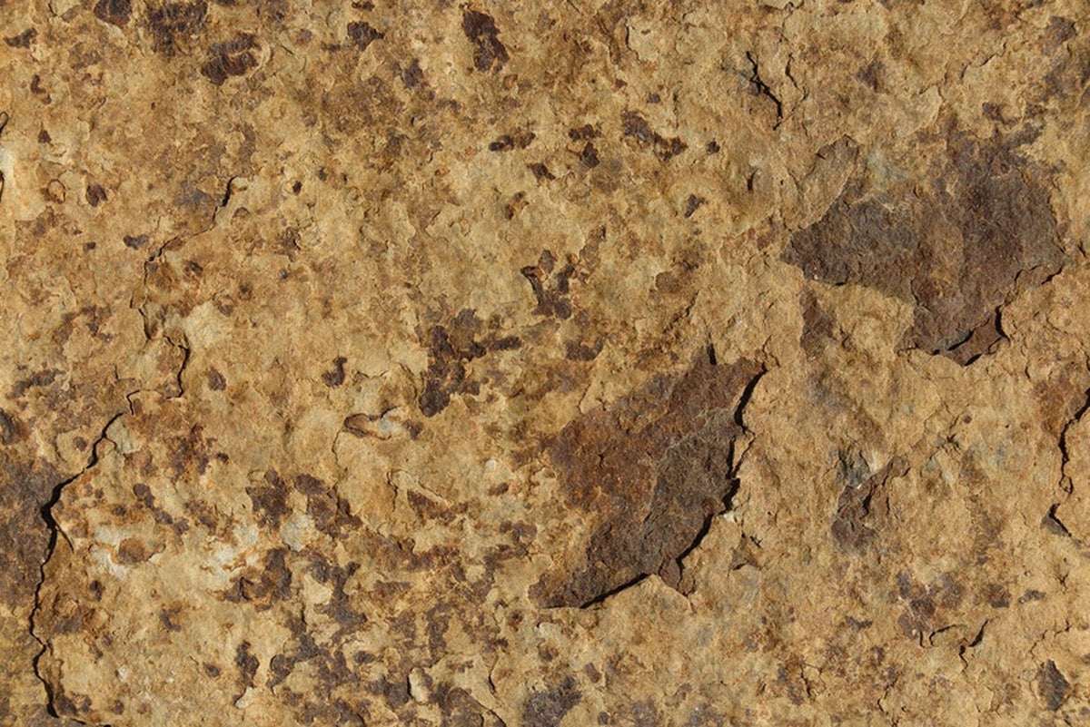 Carioca Gold - Natural Cleft Face, Gauged Back Slate Tile — Stone ...