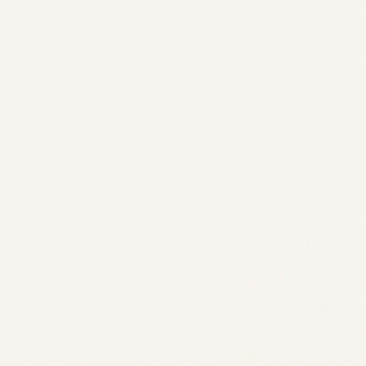 Daltile Color Wheel Classic 0790 Matte Arctic White Matte Ceramic Tile ...