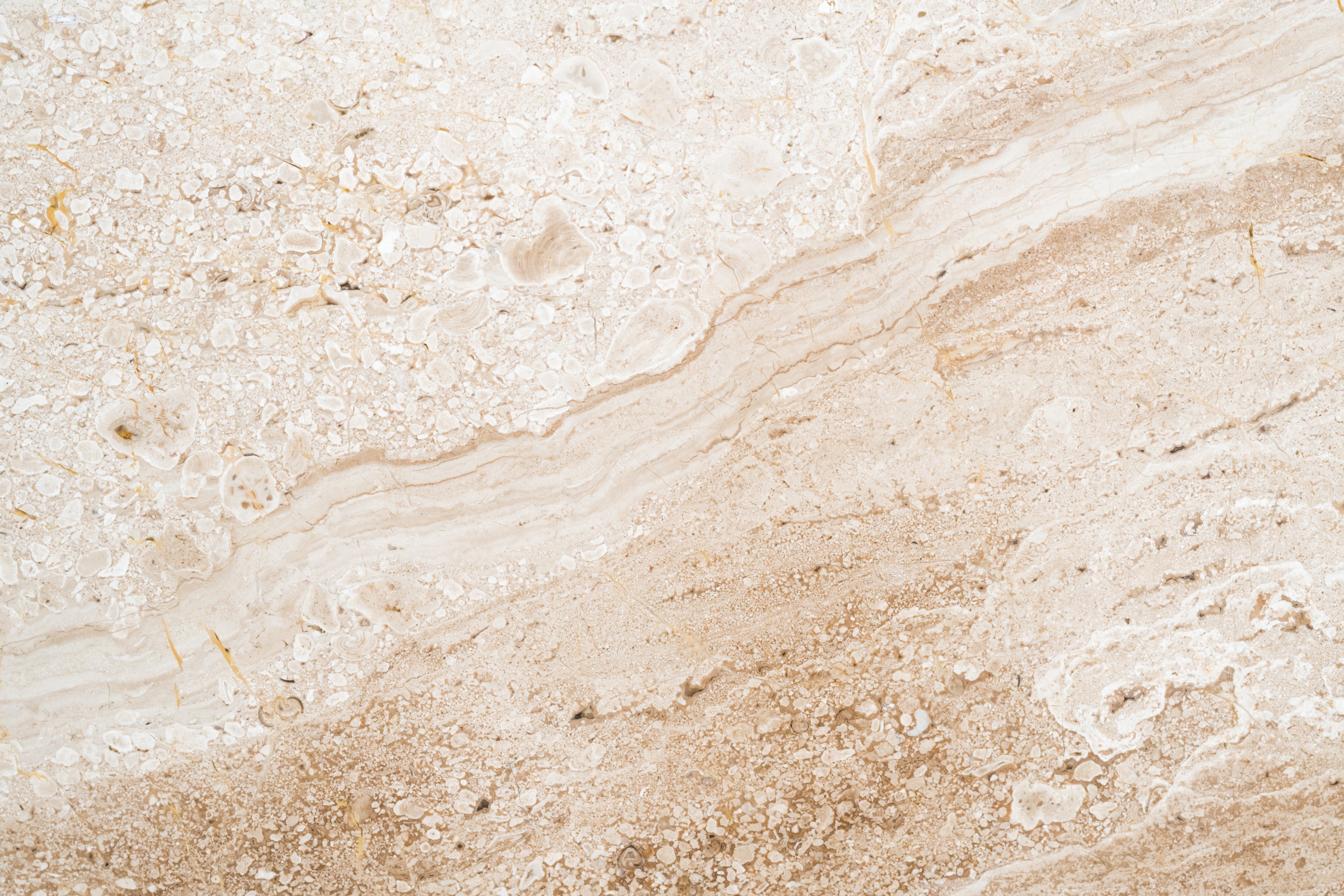 Diano Reale Marble Tile - Polished | Stone & Tile Shoppe