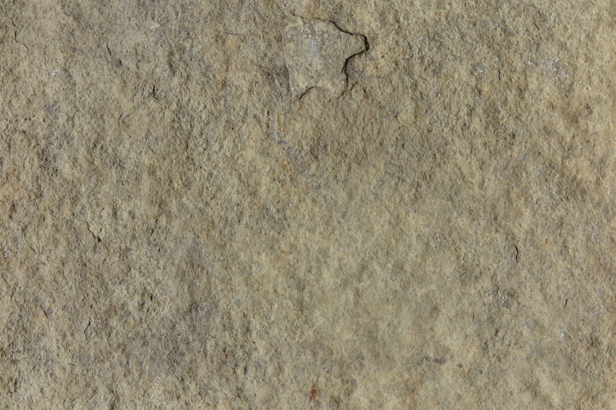 Lime Black Natural Cleft Face with Gauged Back Limestone Wall Cap ...