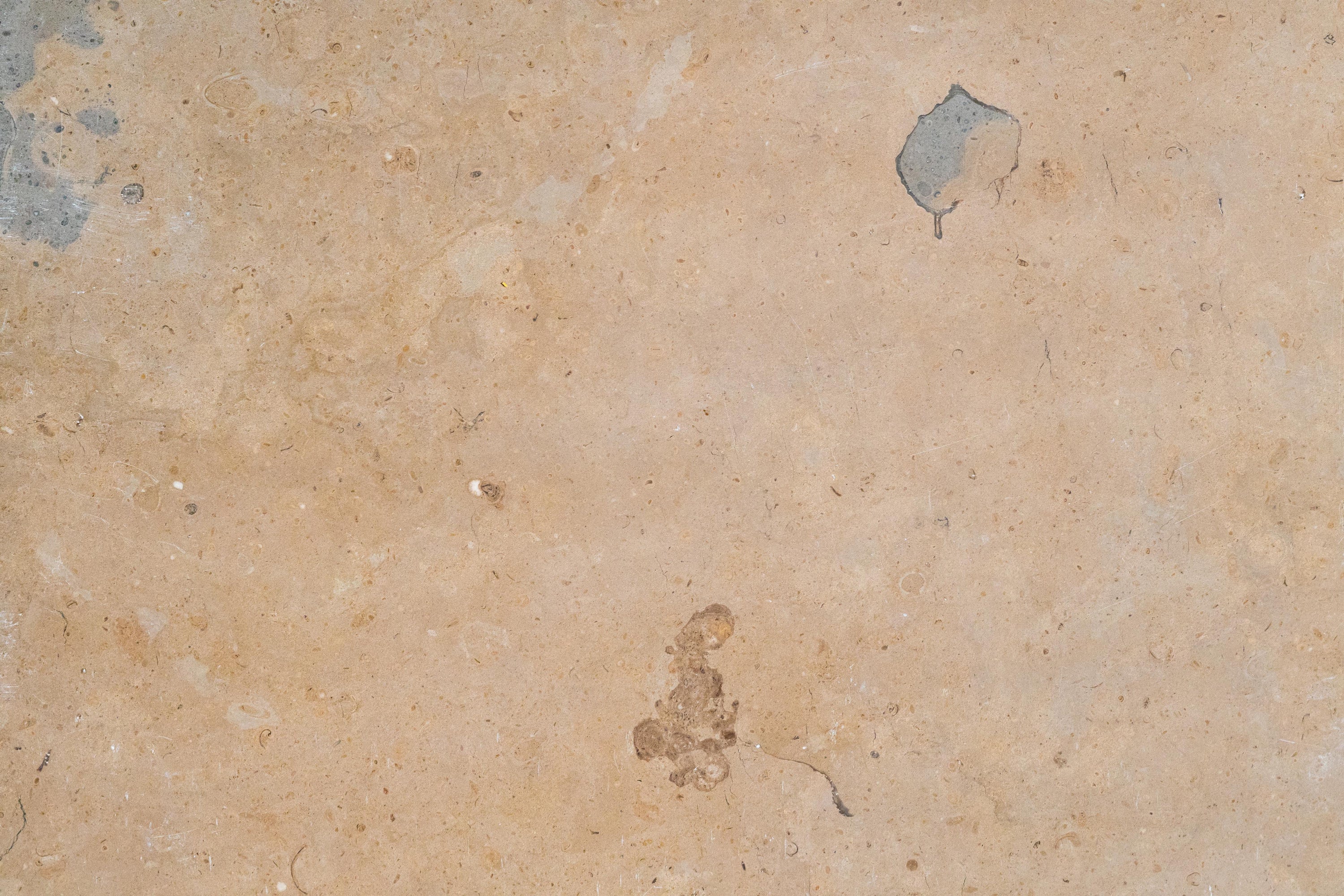 Lagos Gold Limestone Tile - Honed | Stone & Tile Shoppe