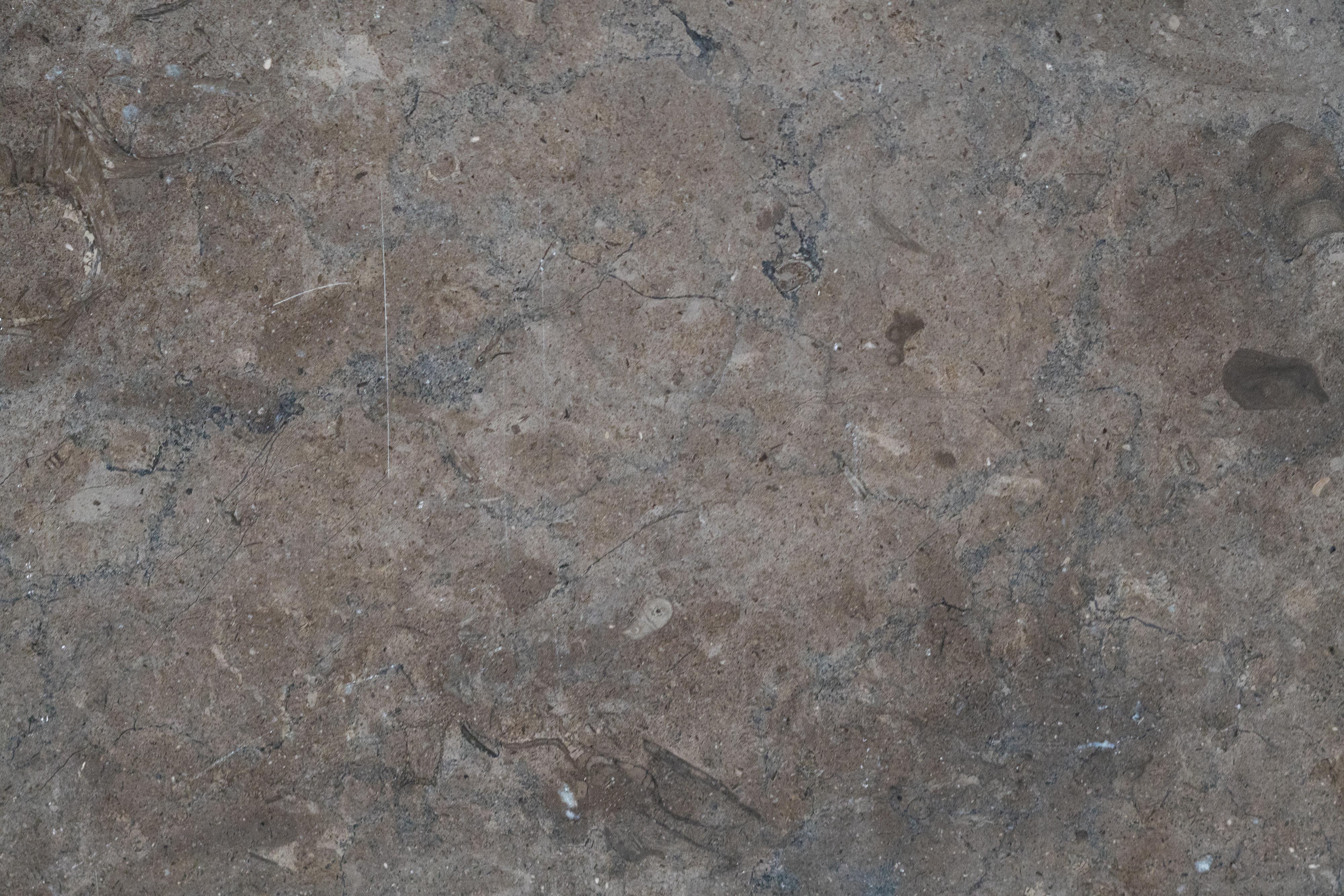 Shark Skin Limestone Tile - Honed | Stone & Tile Shoppe