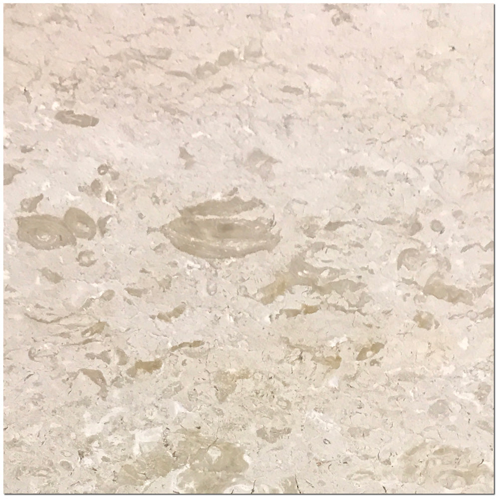 Shell Stone Brushed Limestone Tile | Lowest Price — Stone & Tile Shoppe ...